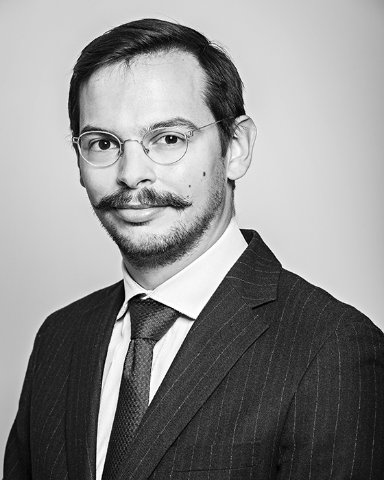 Équipe Archive - Viguié Schmidt & Associés